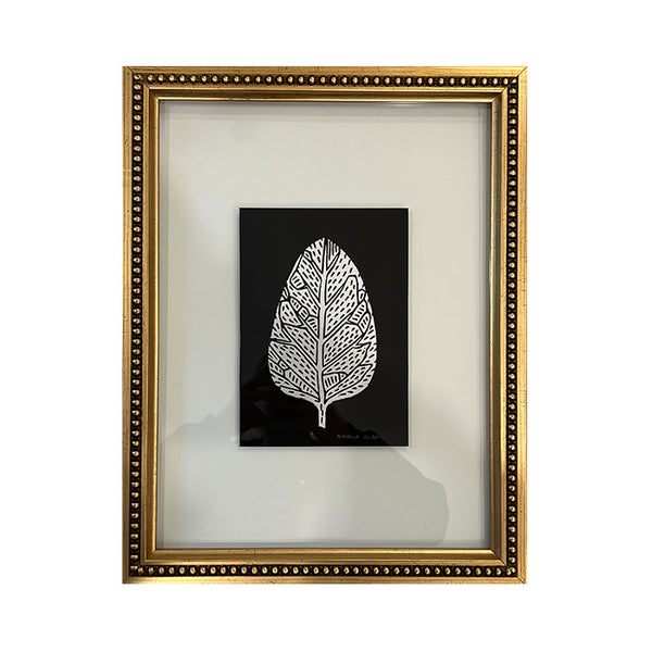 Hoja plateada redondeada – Rosario Greene